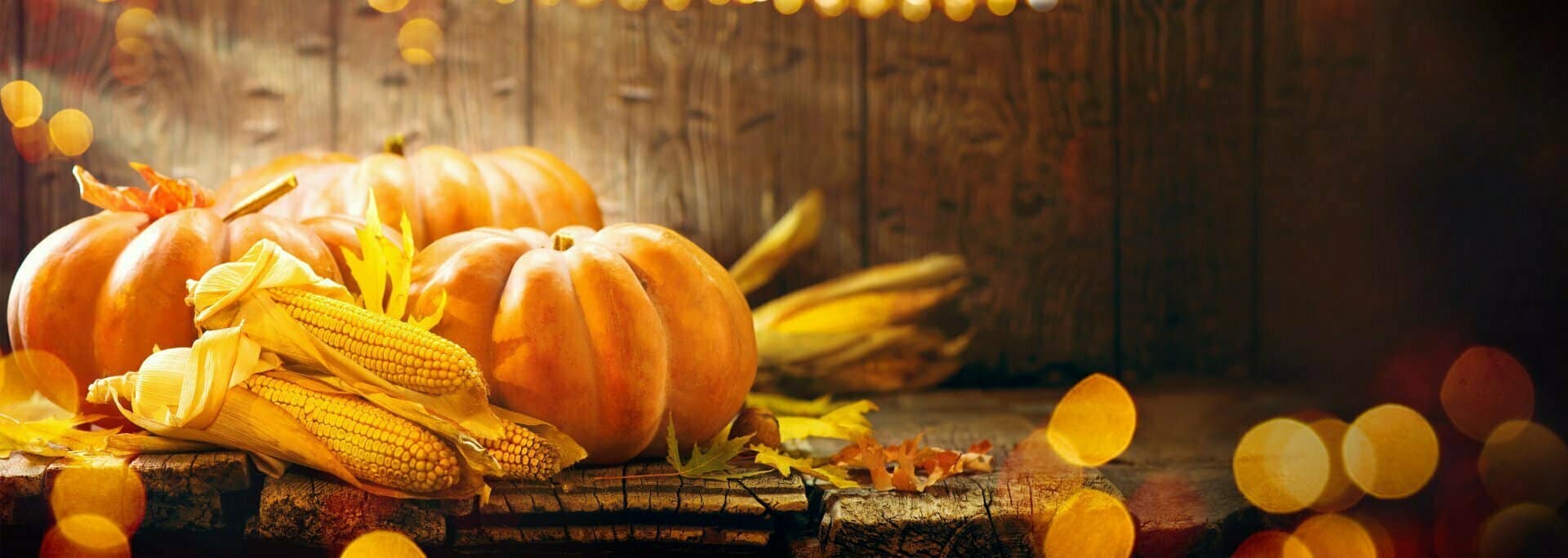 Yearly Festivals - International Waldorf School The Hague